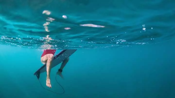 Исследование Shark Vision показало, что большинство нападений акул вызваны ошибочной идентификацией