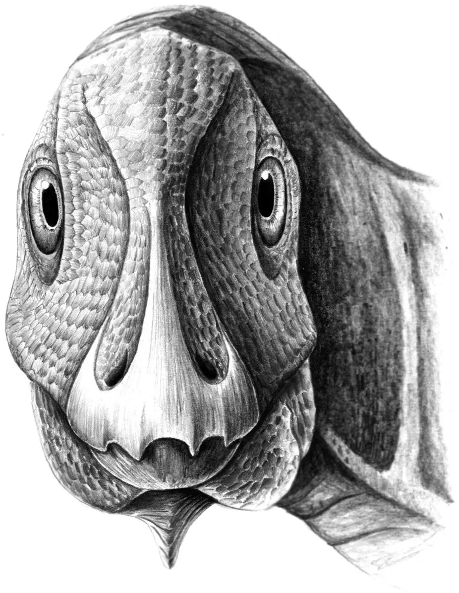 ọdịnaya-1467714460-hadrosaur-face.jpg