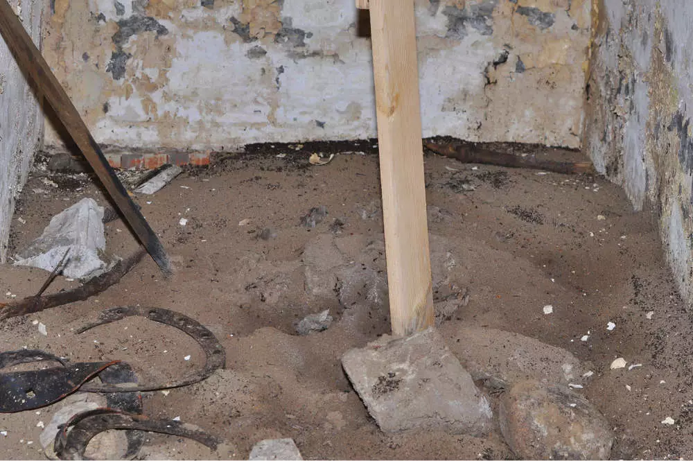Melkein miljoona kannibalistista muurahaista, jotka ovat jääneet loukkuun puolalaiseen asebunkkeriin, pakenevat kauan odotetulla tavalla 1152_2