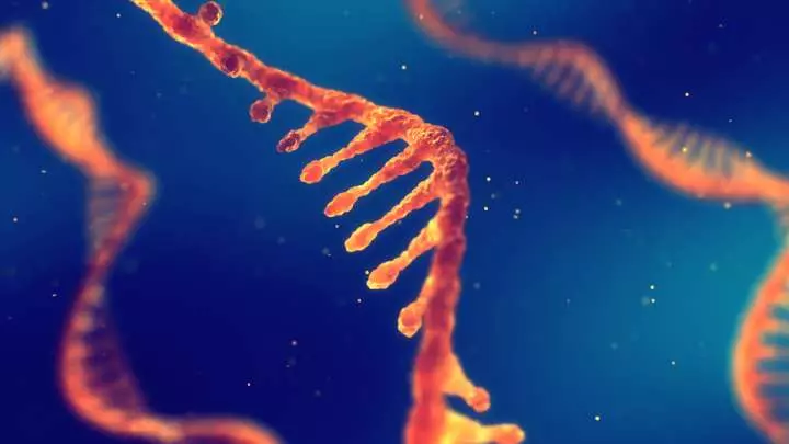 Το DNA και το RNA μπορεί να έχουν αναπτυχθεί μαζί, αμφισβητώντας τις υποθέσεις σχετικά με την προέλευση της ζωής