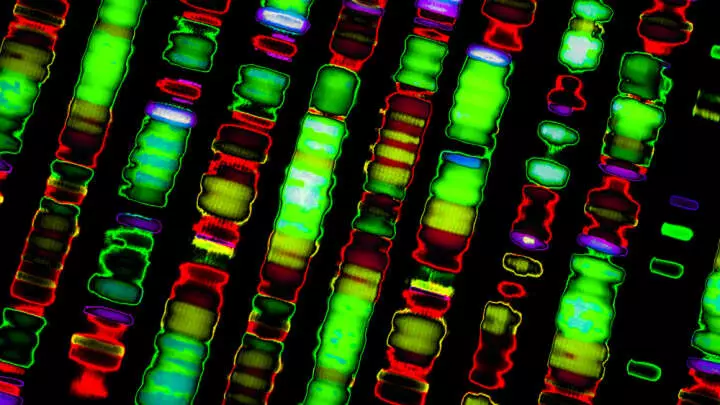 O le Genome atoa o le tagata ua fa'asologa mo le taimi muamua i le tala faasolopito, fai mai saienitisi