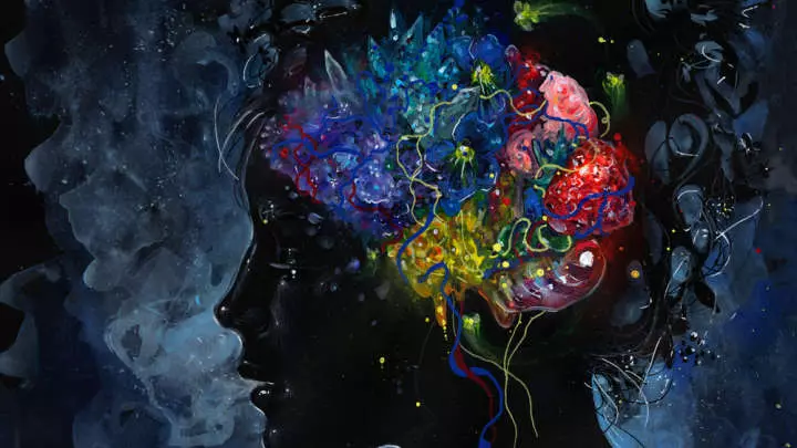 De structuur van je hersenen kan bepalen wat voor soort ervaring je krijgt met psychedelica
