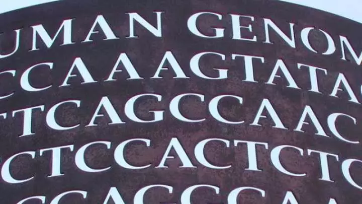 Beyond Genetics: manazava ny Epigenome