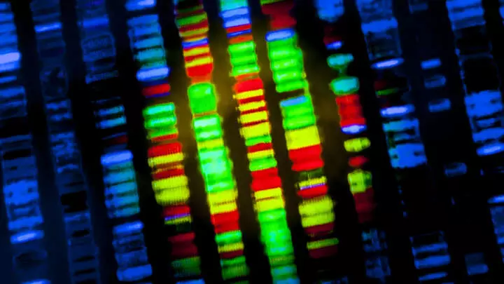 Famonoana Indroa Tany Soeda Voavaha 16 Taona Taty aoriana tamin'ny fampiasana tranokala Genealogy