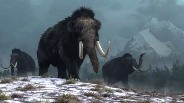 Pagbag-o sa Klima, Dili Mga Tawo, Lagmit Nakapatay sa Woolly Mammoth