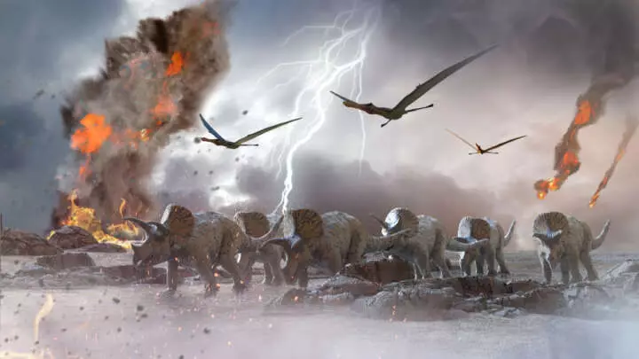 Тараканнар Динозаврларның юкка чыгуына китергән астероидны ничек кичерделәр?