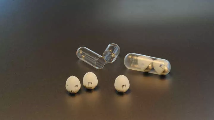 Li-capsules tse Bululetsoeng ke Kgudu li Fana ka Insulin Ka Maleng Ntle le Liente