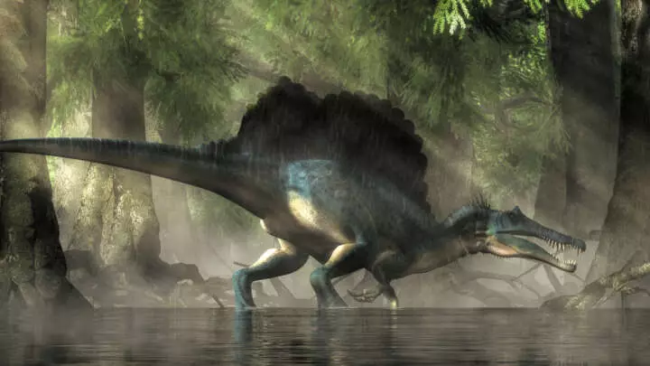 Hazina ya Meno huko Moroko Inathibitisha Spinosaurus Ilikuwa 'Monster Mto'