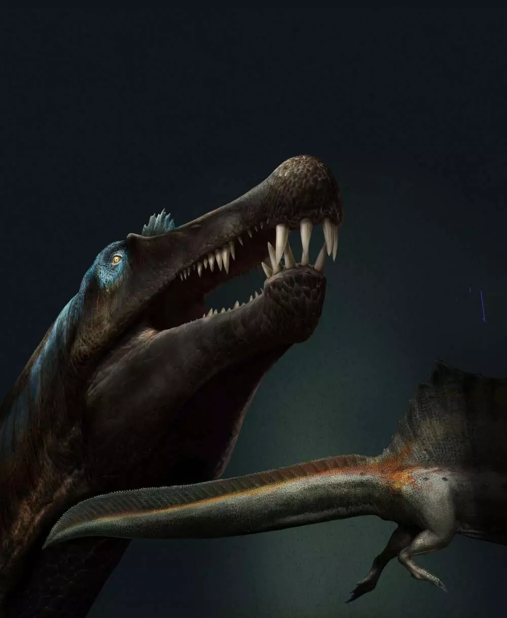 Ang Treasure Trove Ng Ngipin Sa Morocco Pinatunayan Ang Spinosaurus Ay Isang 'River Monster' 1540_1