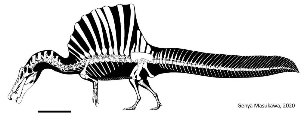 esqueleto de espinosaurio