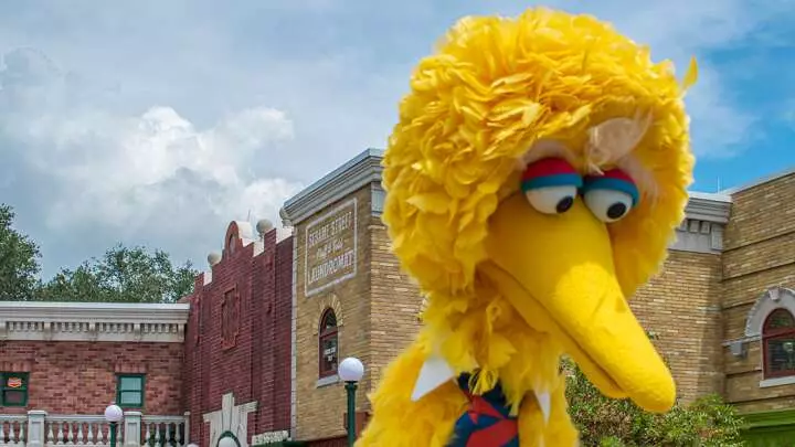 Aşı Karşıtıları, COVID-19 Aşısı Olduğu İçin Big Bird'e Kızdı