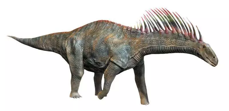 De nysgjerrige ryggradene på denne dinousaurens hals kan faktisk ha vært et seil 15_2