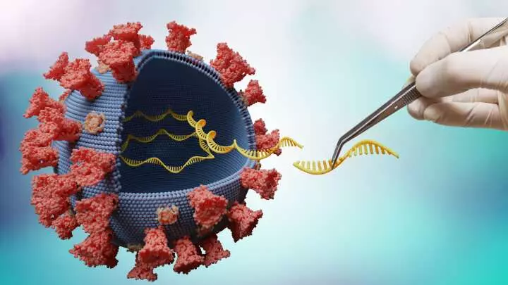 CRISPR භාවිතයෙන් COVID-19 වෛරසයේ ප්‍රතිවර්තනය අවහිර කළ හැක, මුල් රසායනාගාර පරීක්ෂණ පෙන්වයි