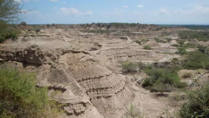 Doğu Afrika'dan En Az 233.000 Yıl Öncesine Tarihlenen En Eski İnsan Fosilleri