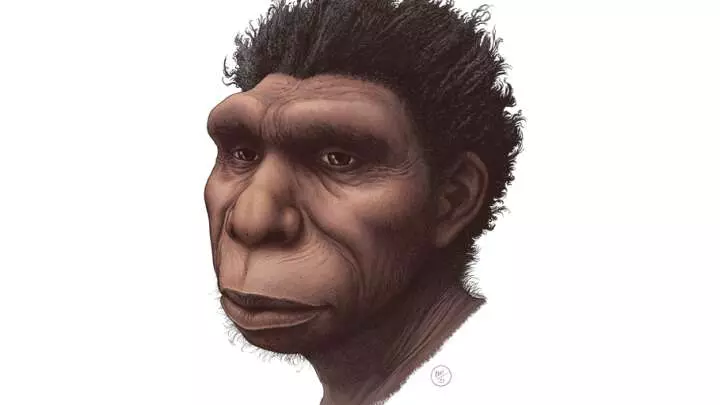 Spoznajte Homo Bodoensis, na novo predlaganega neposrednega prednika ljudi