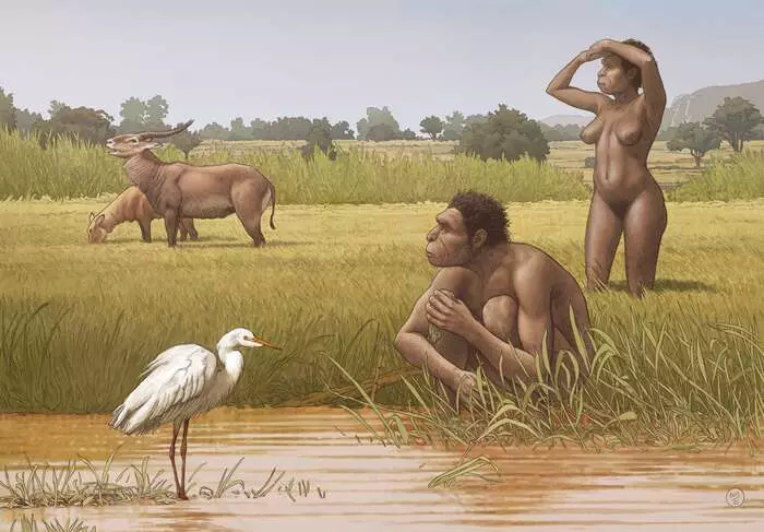 Gặp Homo Bodoensis, tổ tiên trực tiếp mới được đề xuất của loài người 1692_1