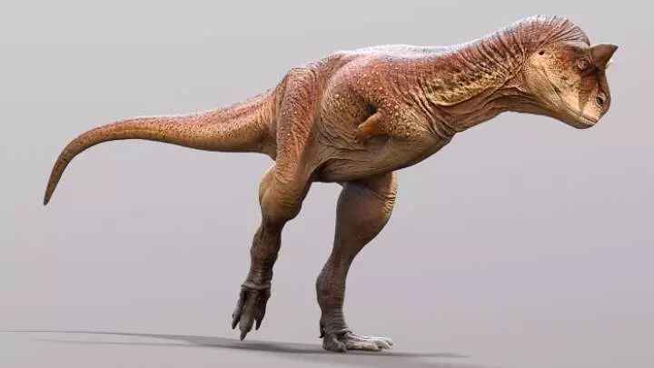 Earste fossilisearre hûd fan in fleisetende dino ûntbleatet dat Carnotaurus skuorre hûd hie sûnder fearren