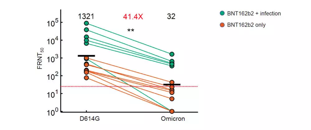 تُظهر معززات Pfizer بعض الفوائد ضد Omicron ، وتشير البيانات الأولية 1746_1