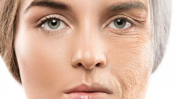 Células da pele humana rejuvenescidas em 30 anos com novo método de reversão do envelhecimento