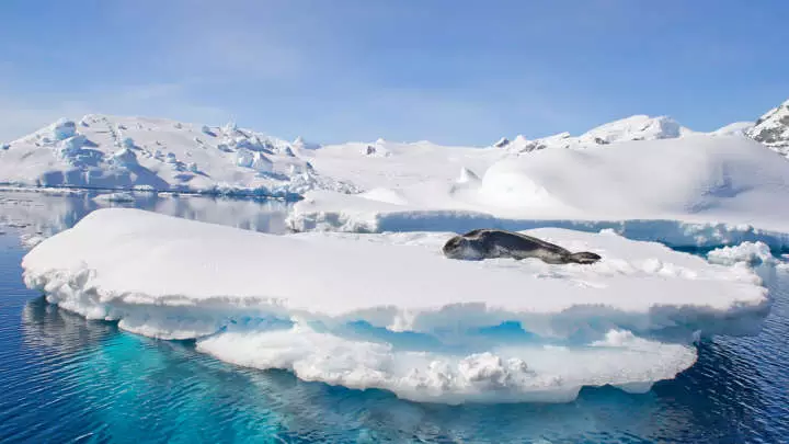 Mainland Antarctica e sa tsoa Fihla Mocheso oa Eona oa Mocheso ka ho Fetisisa o Kileng oa Ngolisoa