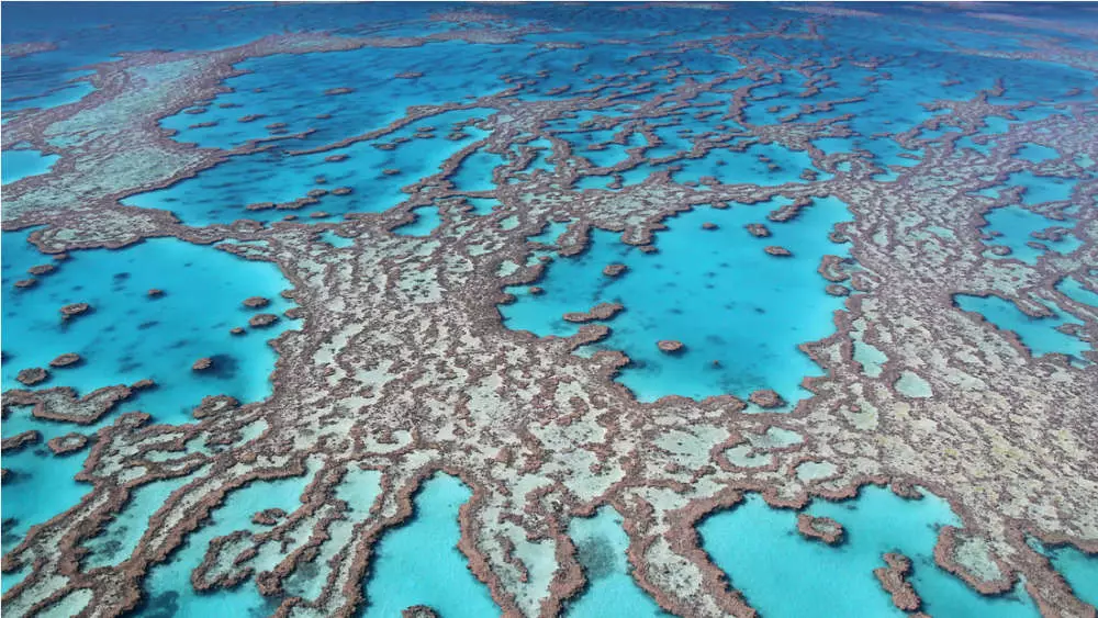 Den australske regjeringen lover 500 millioner dollar for å redde Great Barrier Reef 1842_1