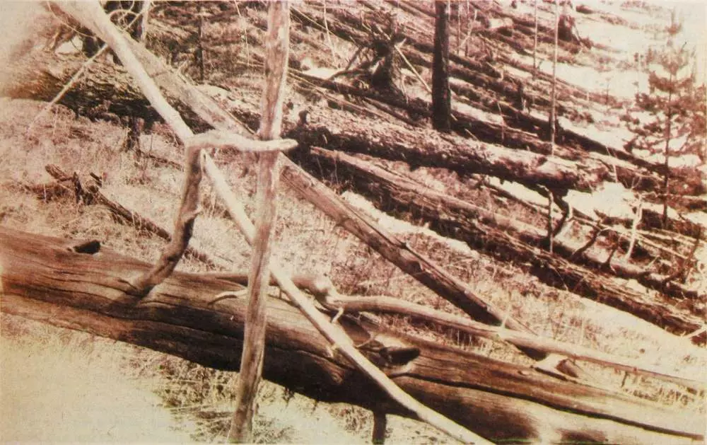 L'evento Tunguska del 1908 ha lasciato un cratere da impatto nascosto?