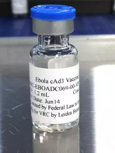 Ebola agerraldia: non gaude eta gero zer gertatzen den 1898_4