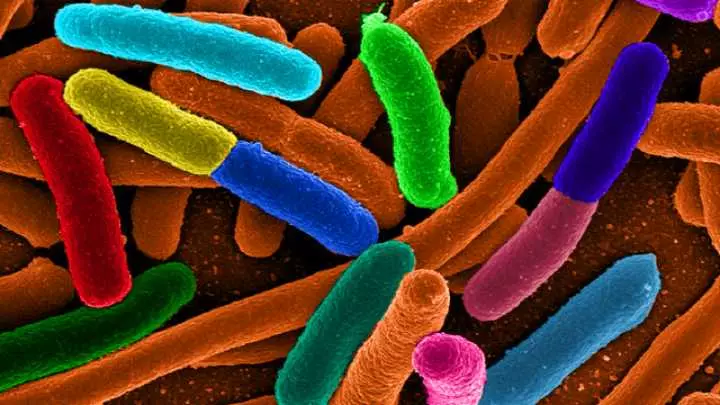 Résistansi Antibiotik Ayeuna Ancaman Global Numutkeun Laporan WHO panganyarna