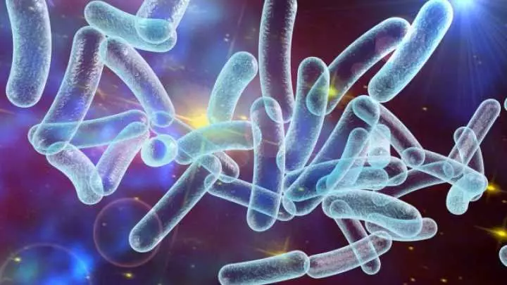 Atopáronse bacterias con resistencia a un antibiótico de "último recurso".