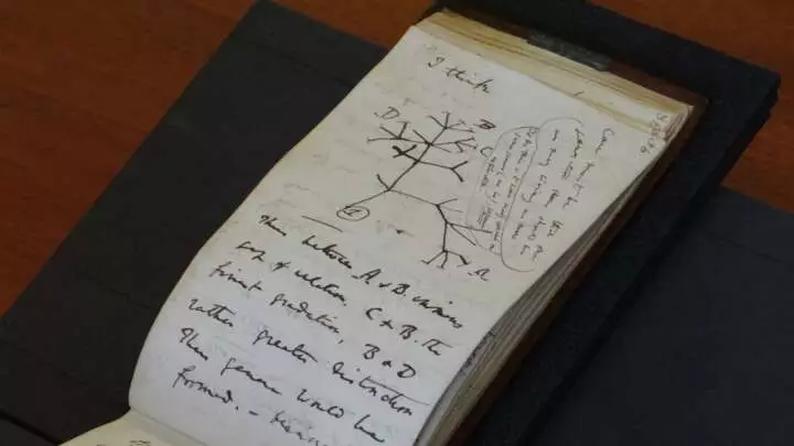 Cadernos roubados de Charles Darwin no valor de milhões devolvidos com nota bizarra
