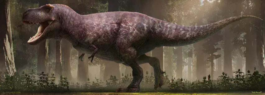 Esta é a reconstrución máis precisa do Tyrannosaurus Rex xamais creada 2204_1