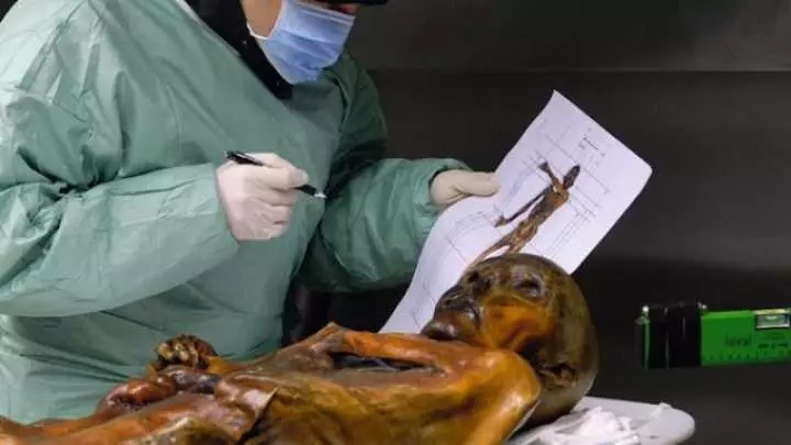 5300 metų ledininkas Ötzi turi 61 tatuiruotę