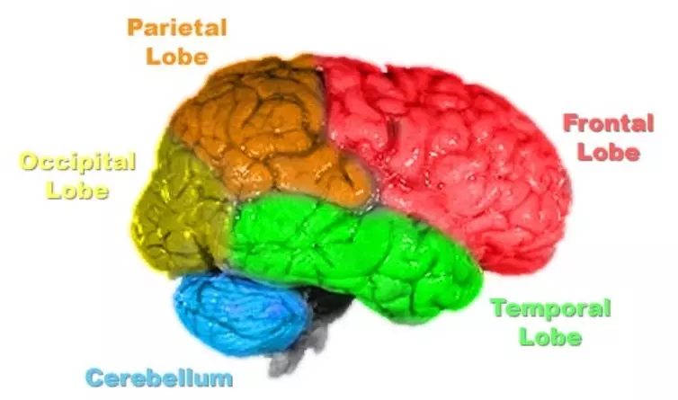 کس طرح LSD نے ہمیں اس بات کی جانچ کرنے میں مدد کی کہ 'خود کا احساس' دماغ میں کیسا لگتا ہے۔ 2499_1