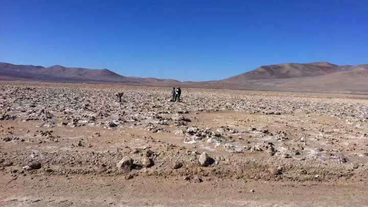 એટાકામા રણના સૌથી સૂકા ભાગમાં જીવતા જીવન શોધાયેલું જીવન મંગળની શોધ માટે આશા આપે છે