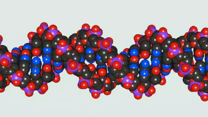 CRISPR-Infused اسٽيم سيل ٿراپي استعمال ڪئي وئي مريض جي علاج لاءِ نادر رت جي خرابي سان