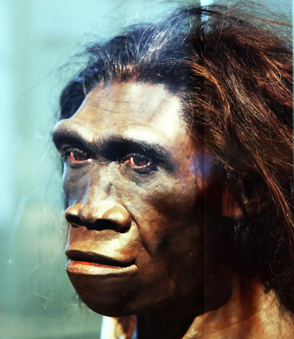 Urmele fosilizate confirmă că Homo Erectus a mers ca oamenii moderni în urmă cu 1,9 milioane de ani 2602_1