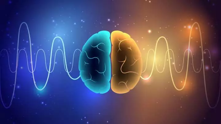 Eerste opname ooit van stervende menselijke hersenen toont mogelijke 'Life Recall'-activiteit