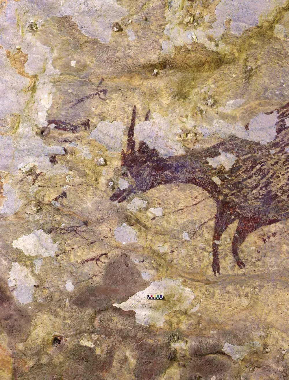 Najranija poznata scena lova u pećinskoj umjetnosti otkrivena u Indoneziji prikazuje 