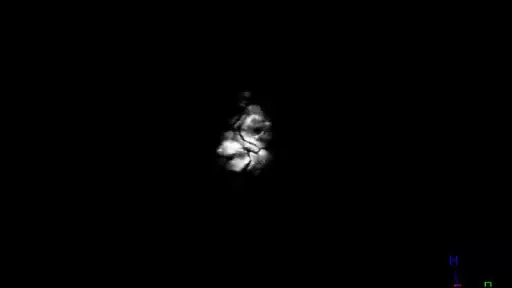 Queste GIF di scansioni MRI di prodotti sono completamente incredibili 2706_16