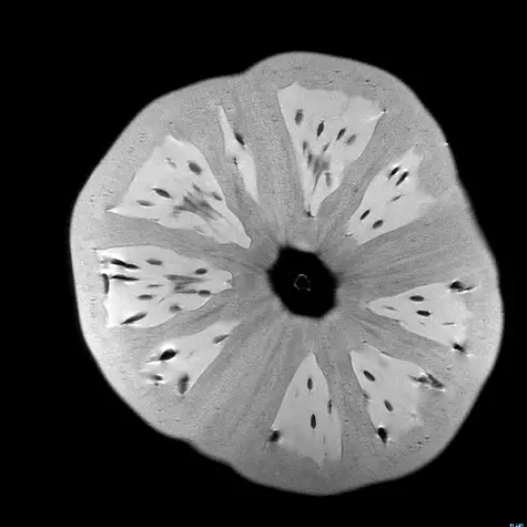 Nämä tuotteiden MRI-skannausten GIF-kuvat ovat aivan uskomattomia 2706_2