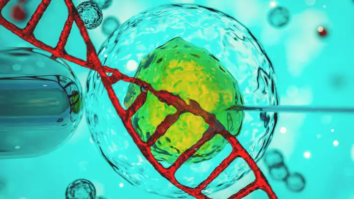 Dibe ku pitikên CRISPR yên Çînê Zêdetir Bimirin