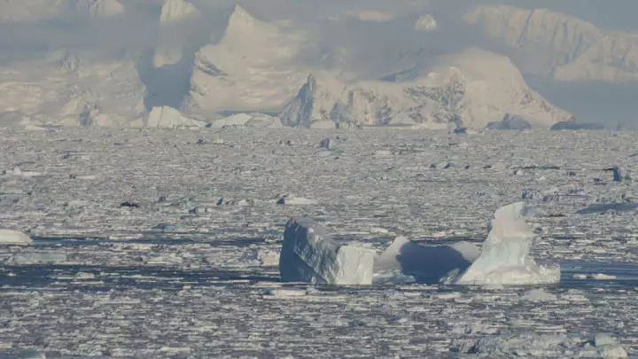 Ji çaryeka qeşaya rojavaya Antarktîka ji ber guherîna avhewayê niha ne aram e