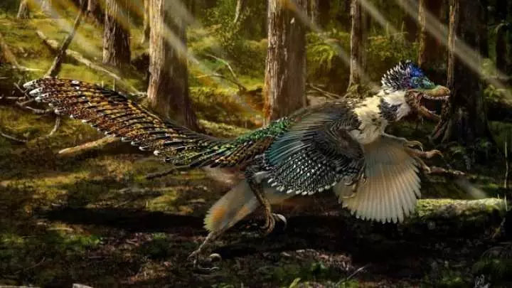 La découverte d'un nouveau dinosaure nous a aidés à prouver que les vélociraptors avaient des plumes