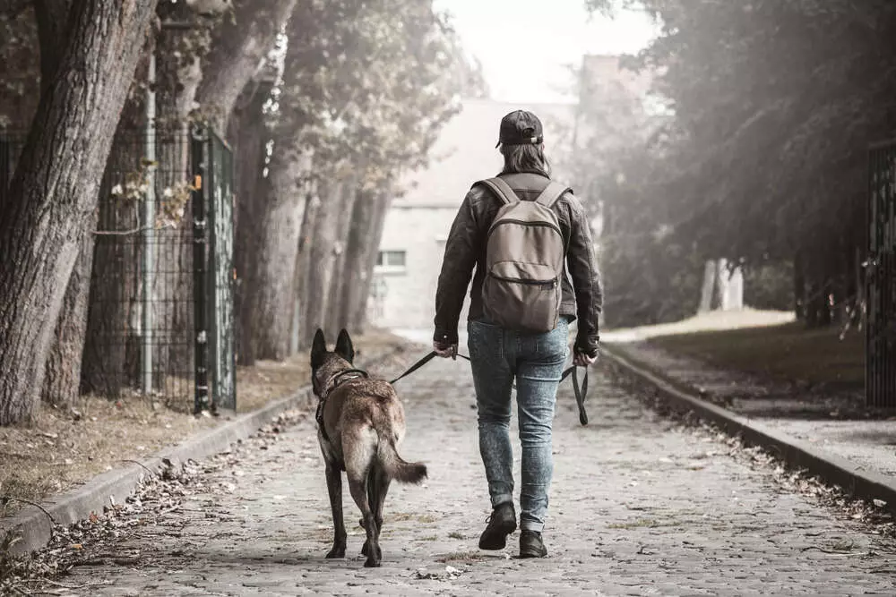 Filmi o zombijih so morda ljudi pripravili na pandemijo, kaže študija 3032_1