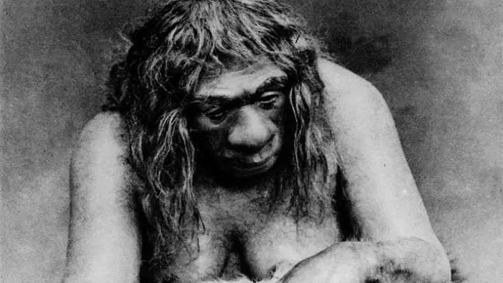 Hanky-Panky Between Humans And Neanderthals var mer enn en one Night Stand