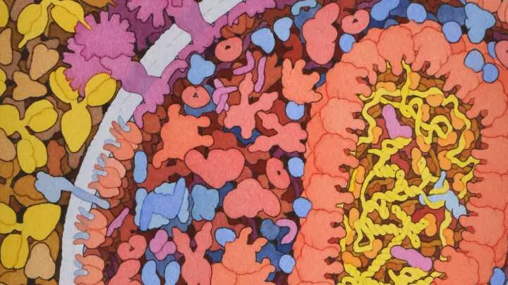 Els metges diuen que la nova teràpia experimental podria haver eliminat un pacient del VIH