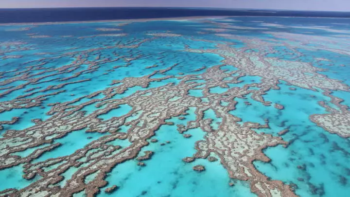 The Great Barrier Reef e Bontša 'Matšoao a Bohlokoa a Pholiso'
