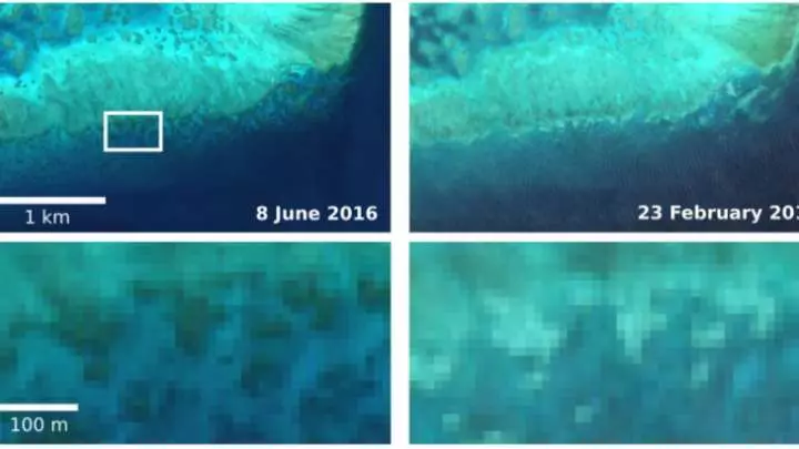 Uzaydan Görülen Büyük Bariyer Resifi'nin Ağartılması