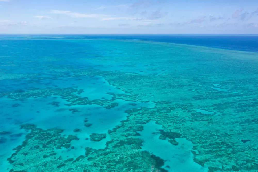 Great Barrier Reef Hoosta Lagu Hanjabay In Lagu Liibay 'Goob Dhaxalka Adduunka Oo Halis Ku Sugan' 315_1