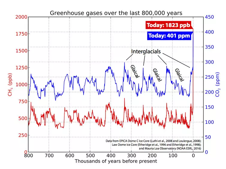 การสูญพันธุ์ครั้งใหญ่และการเปลี่ยนแปลงสภาพภูมิอากาศ: เหตุใดความเร็วของก๊าซเรือนกระจกที่เพิ่มขึ้นจึงมีความสำคัญ 3176_1